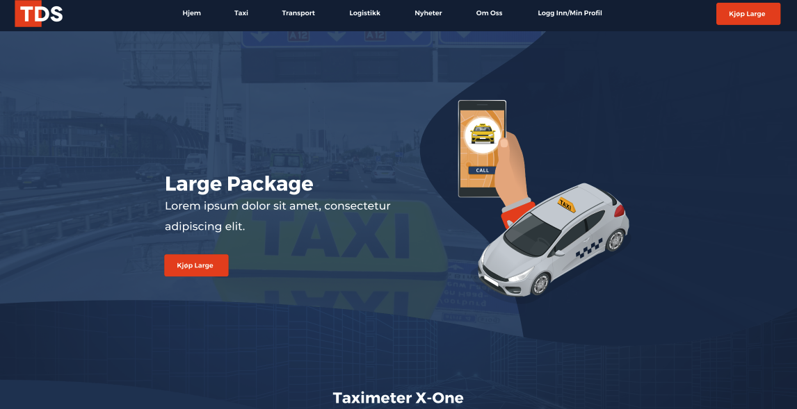 TDS - Taxi-system: Large